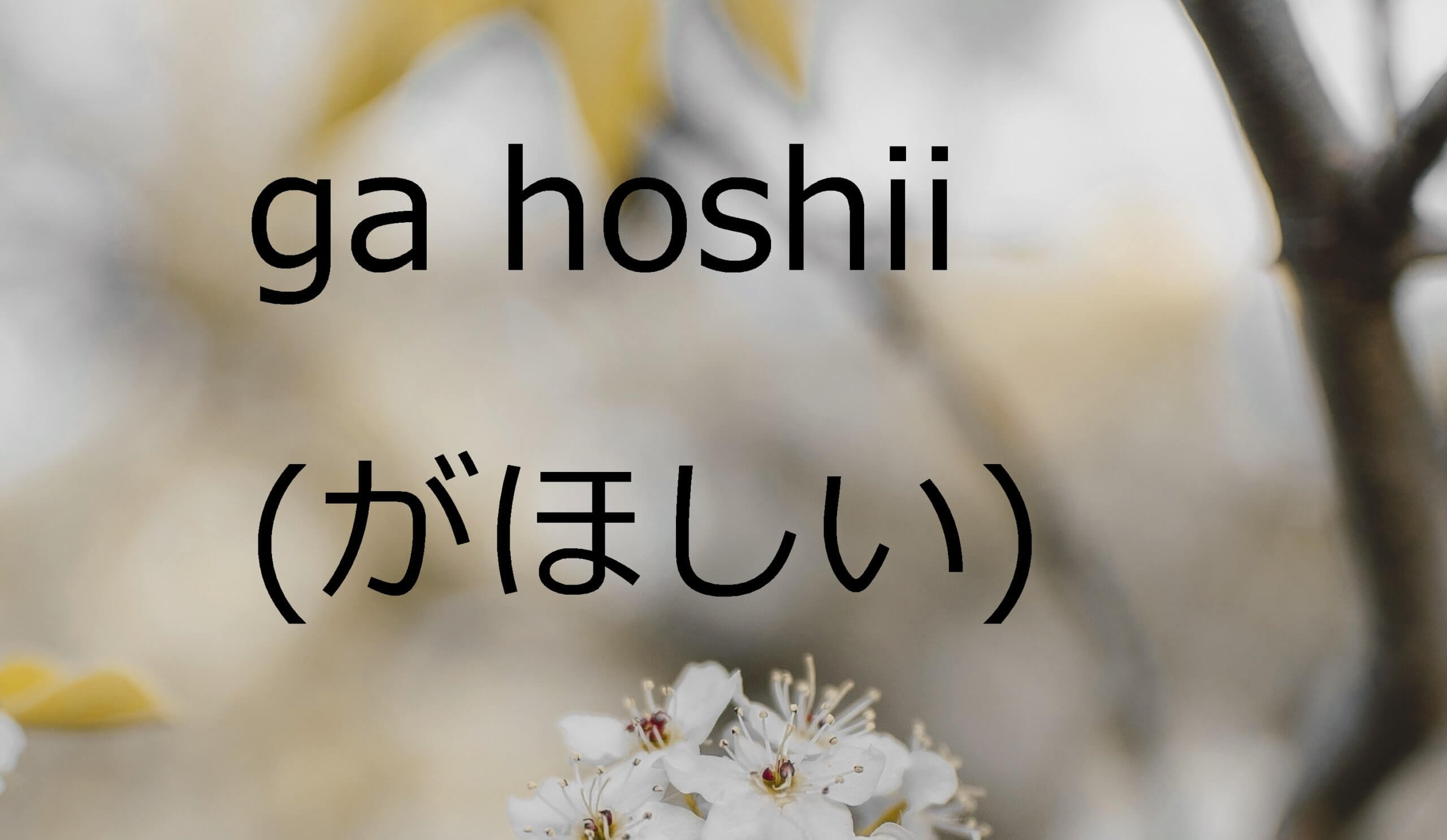 Ga Hoshii (Menginginkan) – Belajar Bahasa Jepang | Kepo Jepang